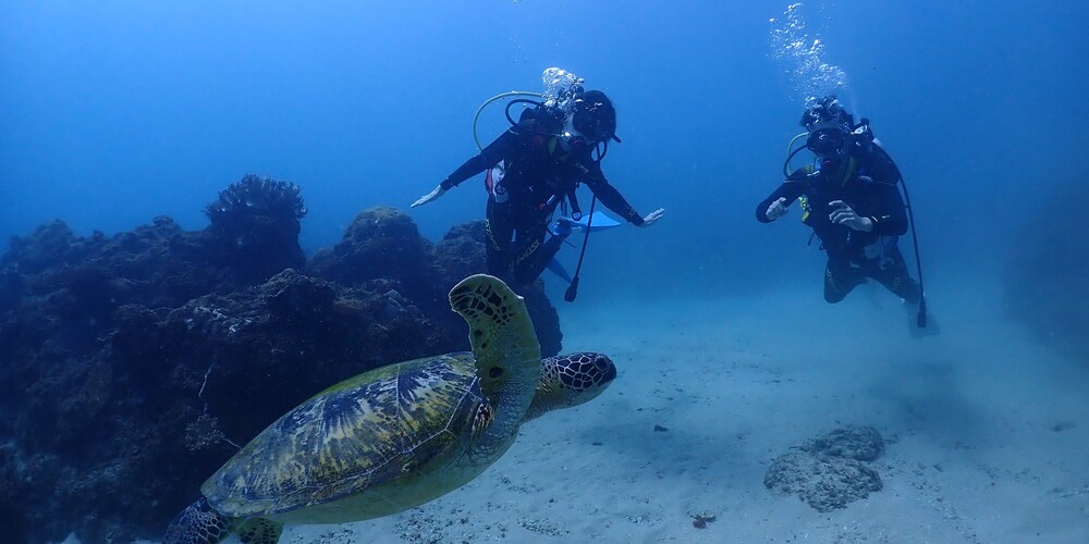 墾丁潛水證照攻略：PADI OW課程安全指南 - 心海潛水