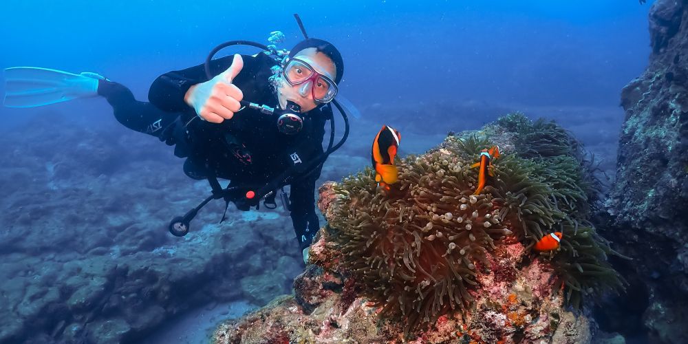 Kenting Diving Beginner's Guide:How to Choose Between Experience Diving ...